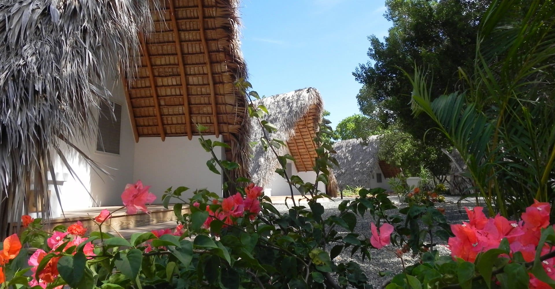 Latin America Tours - Ihr Spezialist für Lateinamerika